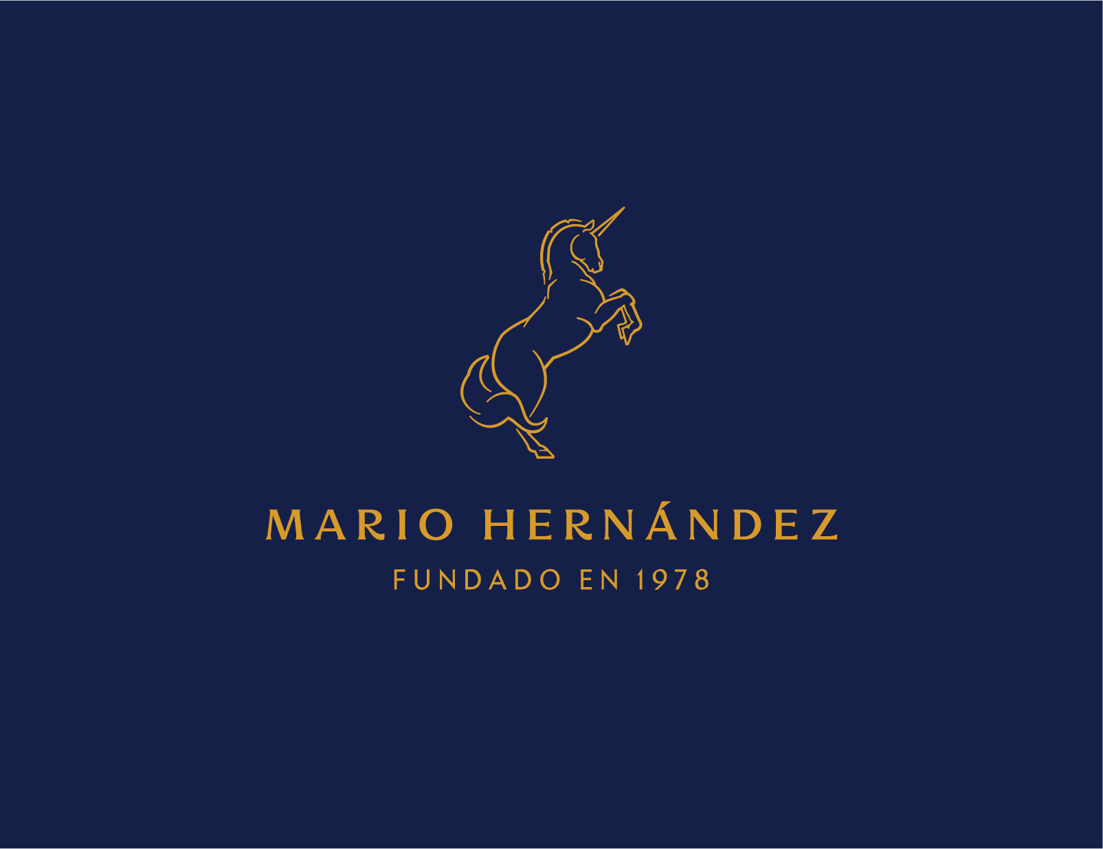 MARIO HERNÁNDEZ, la expresión del lujo colombiano – Lujo Colombiano ...